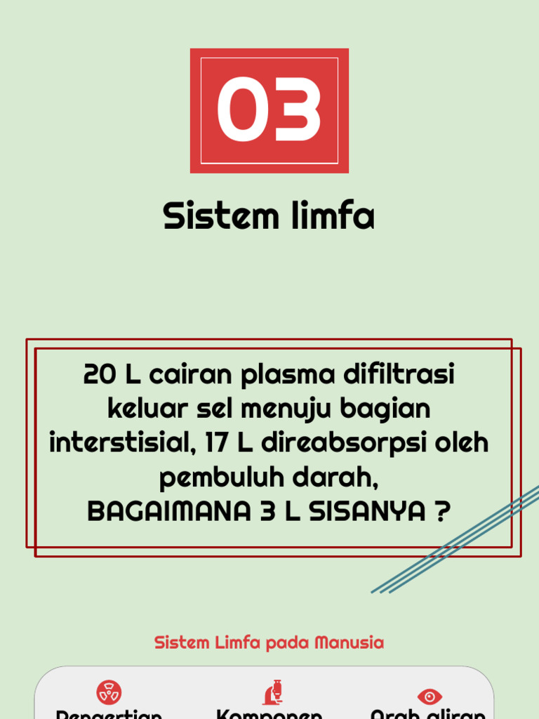 Sistem Limfa dan Fungsinya pada Manusia | PDF | Biotechnology | Wellness