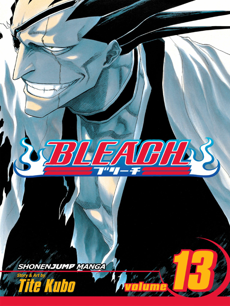 Bleach Volume 13 - PDF Room | PDF