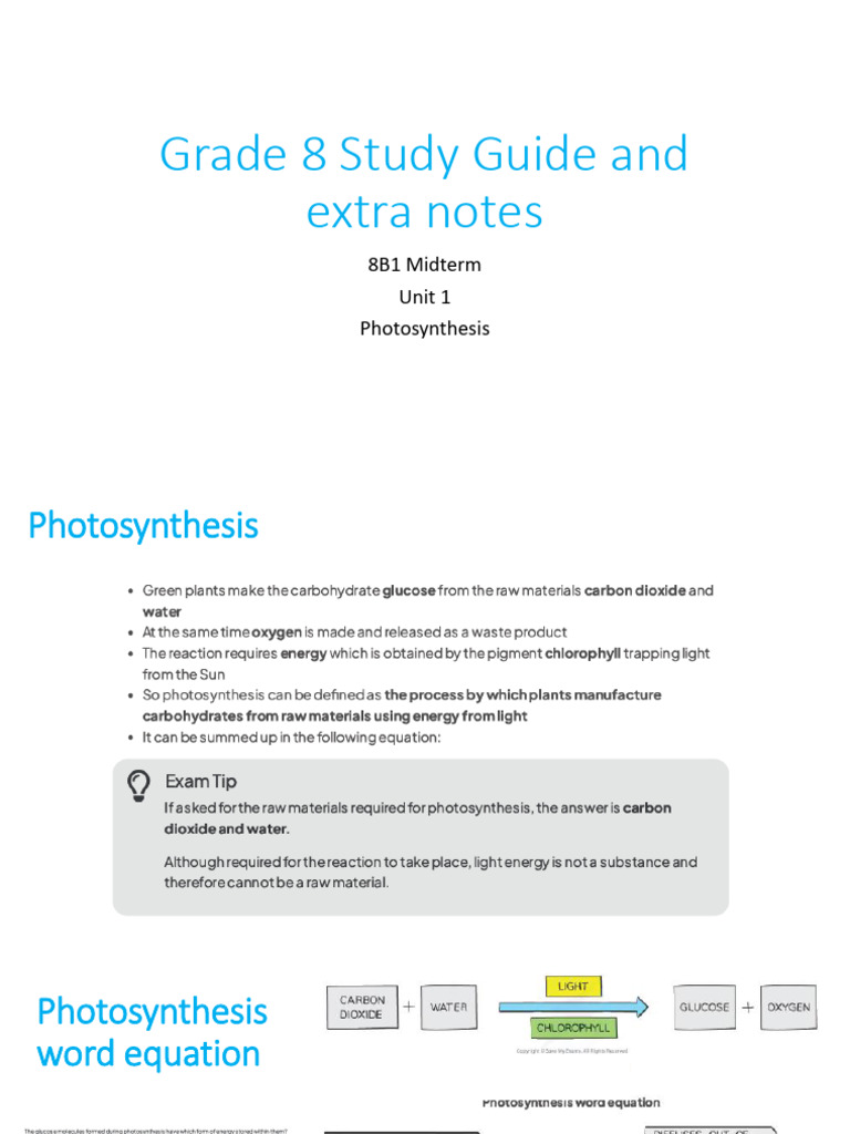 Grade 8 Study Guide Unit 1 | PDF