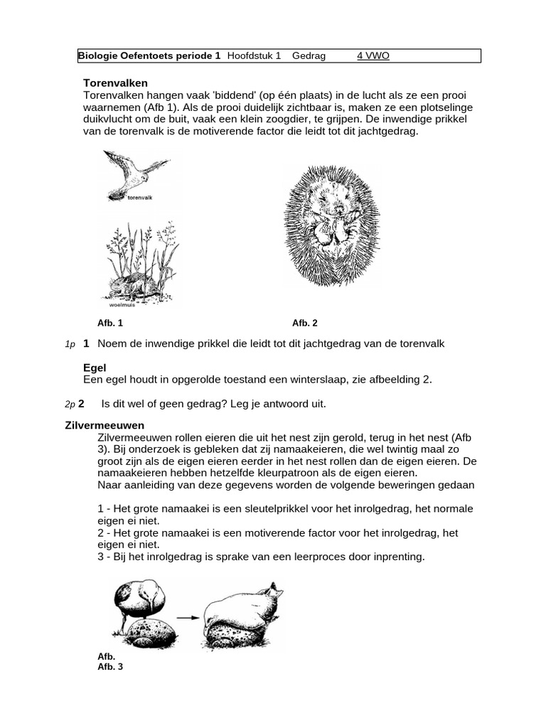Oefentoets 4 Vwo Periode 1 2024-2025 H1 | PDF