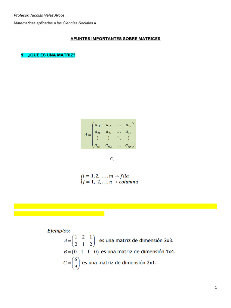 Teoría Matrices | PDF