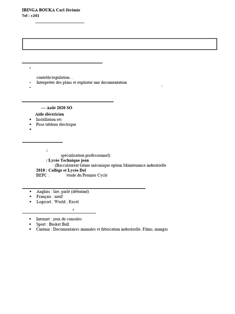 CV IBINGA BOUKA CARL JÉRÉMIE - Copie | PDF