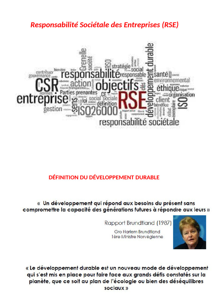 Cours Rse 1 | PDF