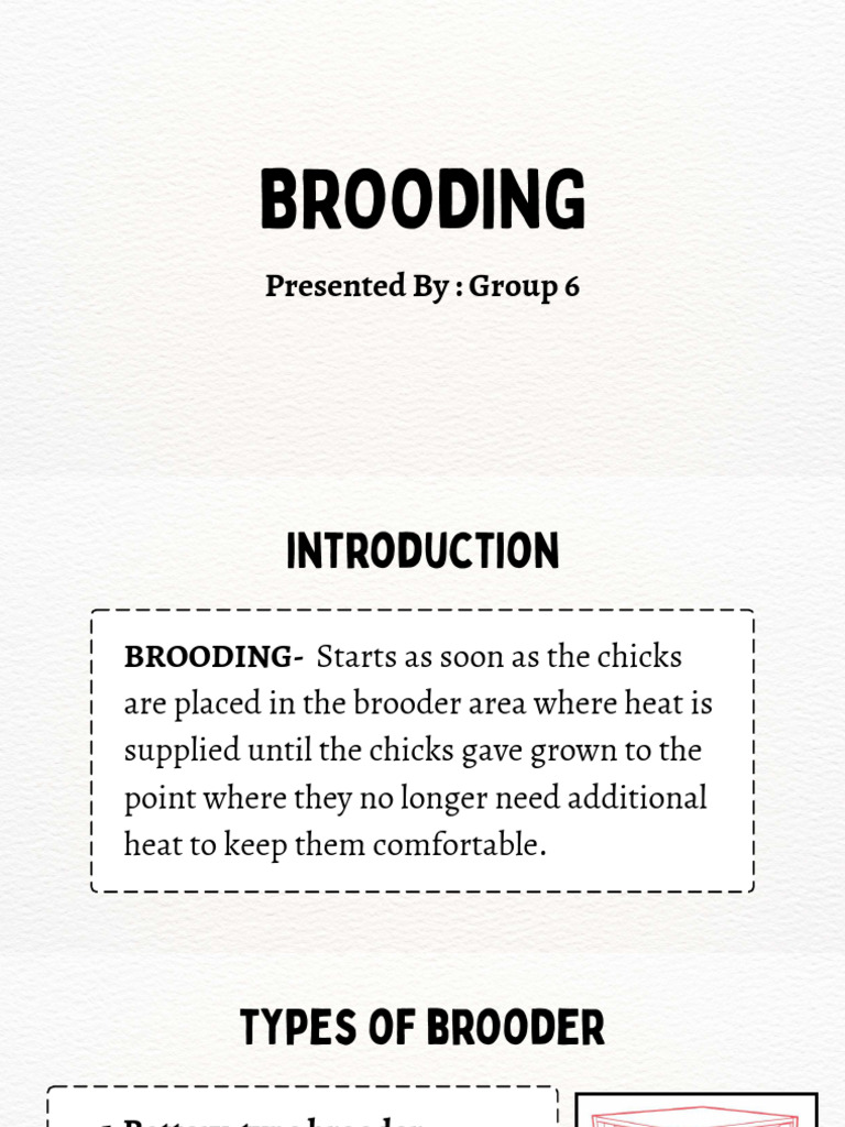 Group 6 Brooding | PDF