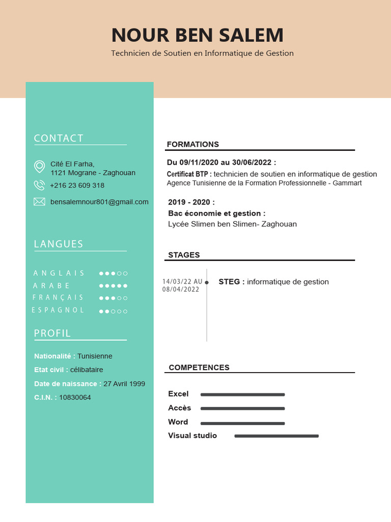 0 CV Nour Ben Salem | PDF