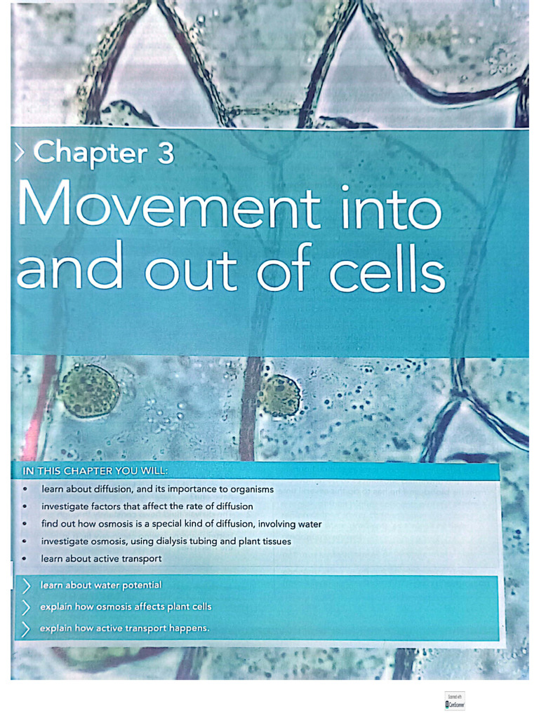 Bio Ch 4, 9th o level | PDF