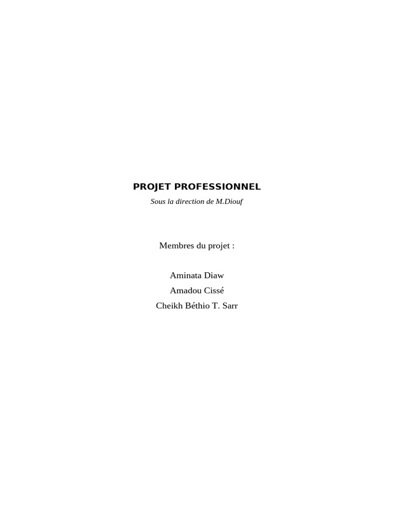 Projet Professionnel | PDF