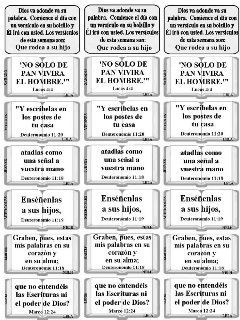 Esp Strip 2 Surround | PDF