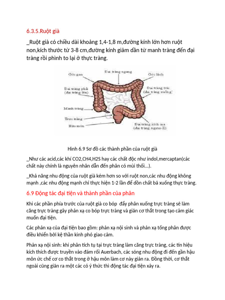 SLDV - Sao Chép | PDF