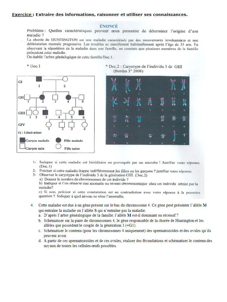 Exercices Génétiques 2 | PDF