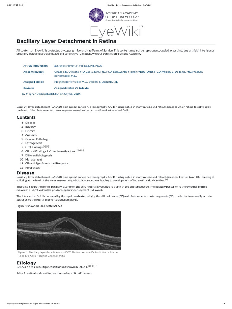 Bacillary Layer Detachment in Retina - EyeWiki | PDF