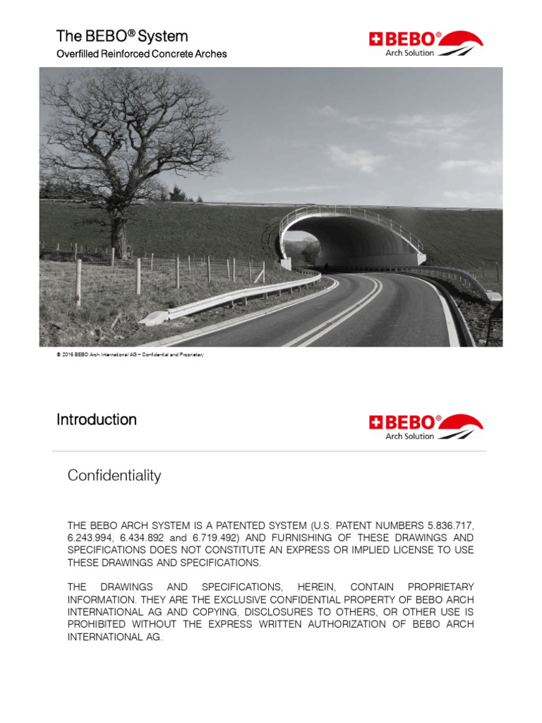 Bebo Introduction | PDF