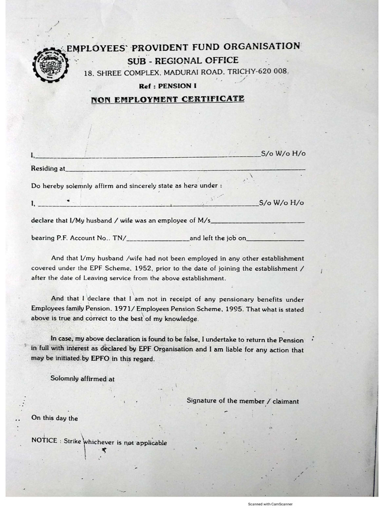 Non-Employment Certificate | PDF