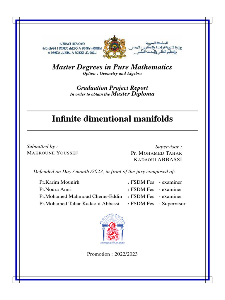 Infinite Dimensional Manifolds | PDF | Lie Groups | Art