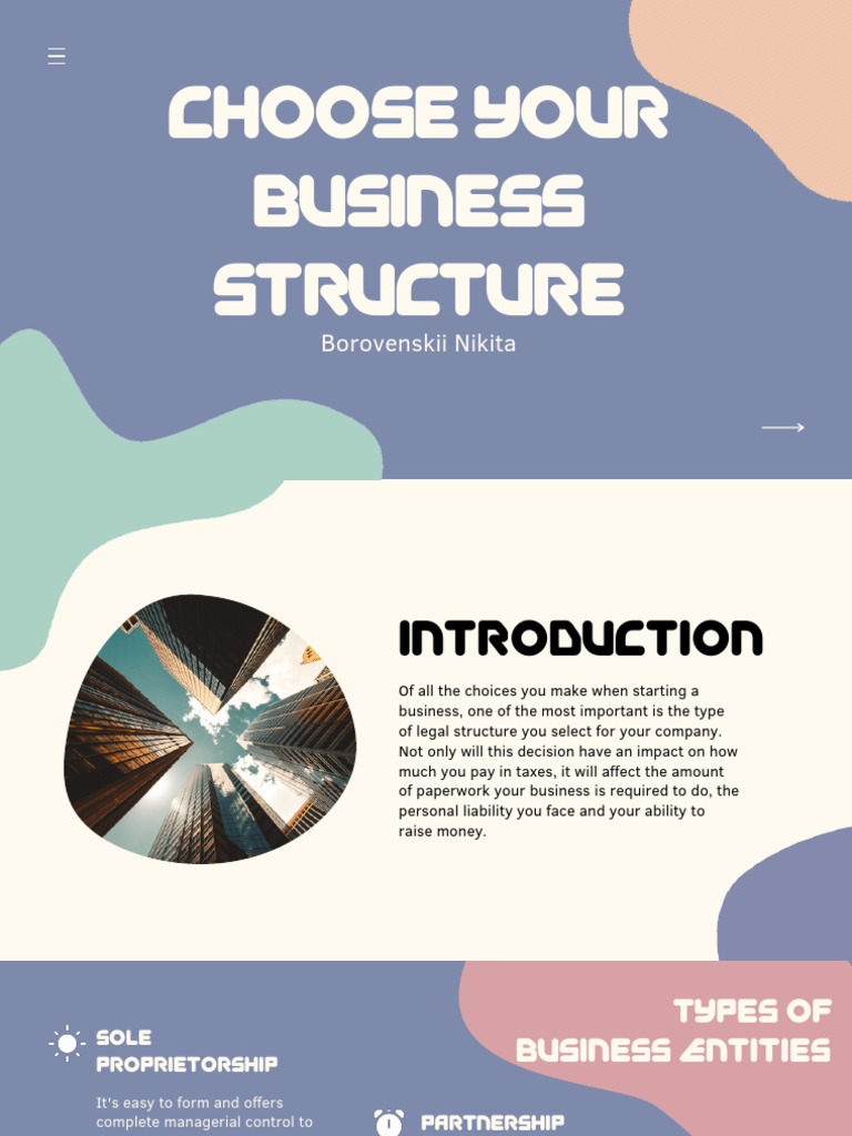 Choose Your Business Structure | PDF