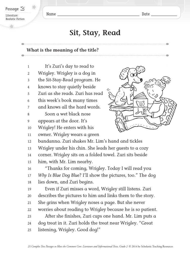 Sit, Stay, Read Story Exercise | PDF | Learning | Foreign Language Studies