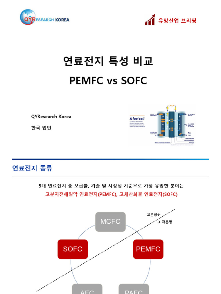 브리핑 연료전지 PEMFC vs SOFC | PDF