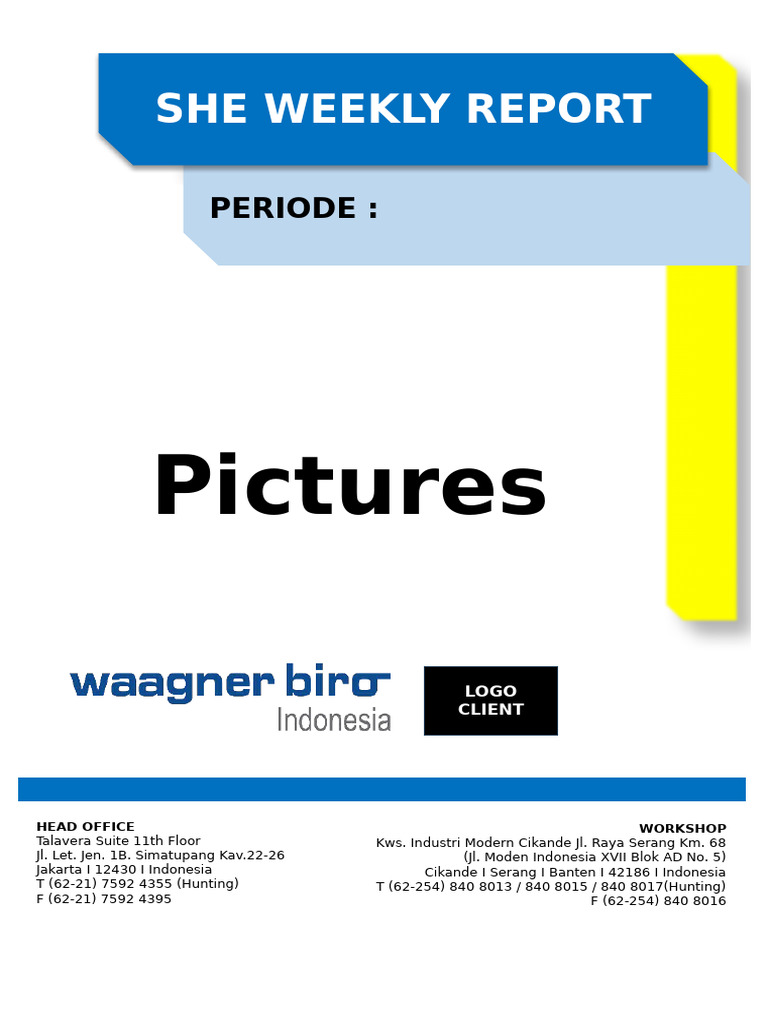 Weekly SHE Report | PDF