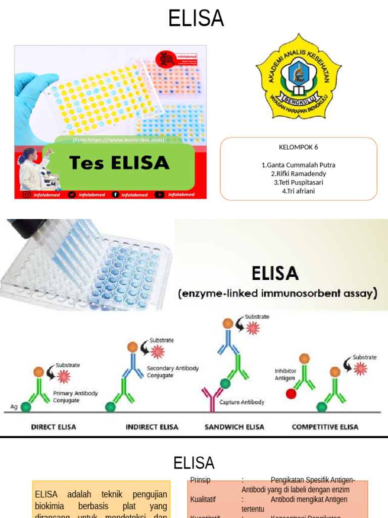 Elisa Ira-62909435 | PDF