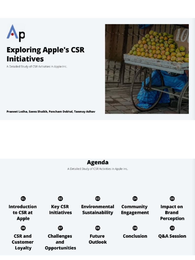 CSR Presentation | PDF