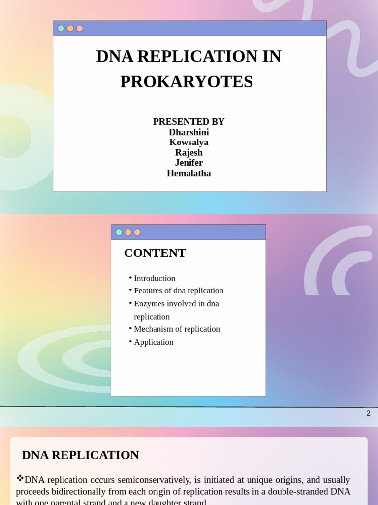 DNA Replication in Prokaryotes | PDF