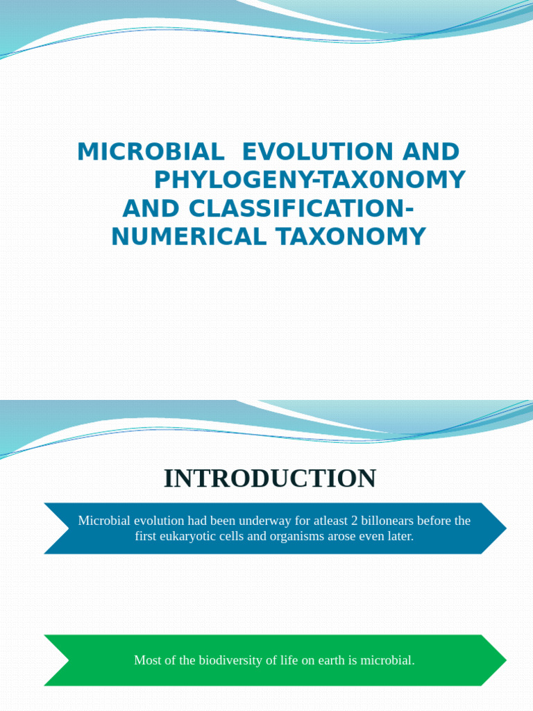 Microbial Evolution & Phlyogeny-Taxonomy & Classification-Numerical Taxonomy | PDF