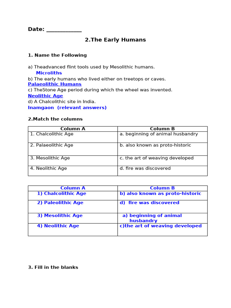 Workbook-The Early Humans | PDF