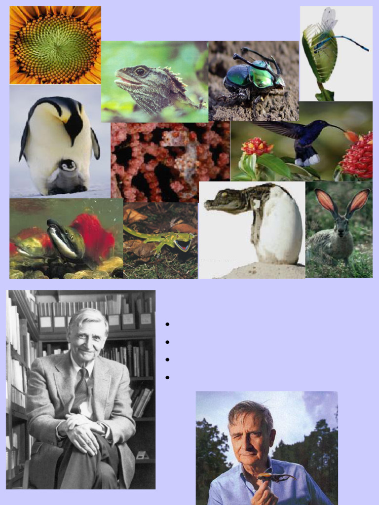 Originoflife | PDF