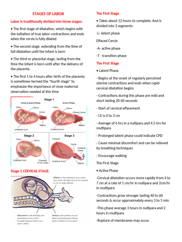 Stages of Labor | PDF