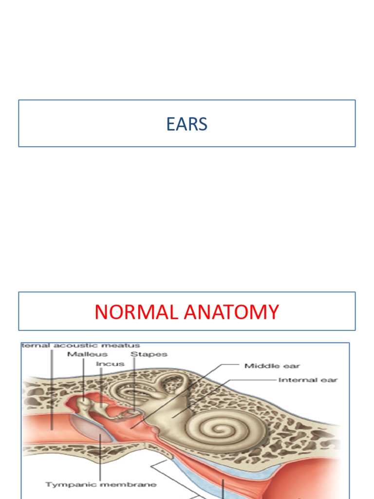 EAR Pathology | PDF