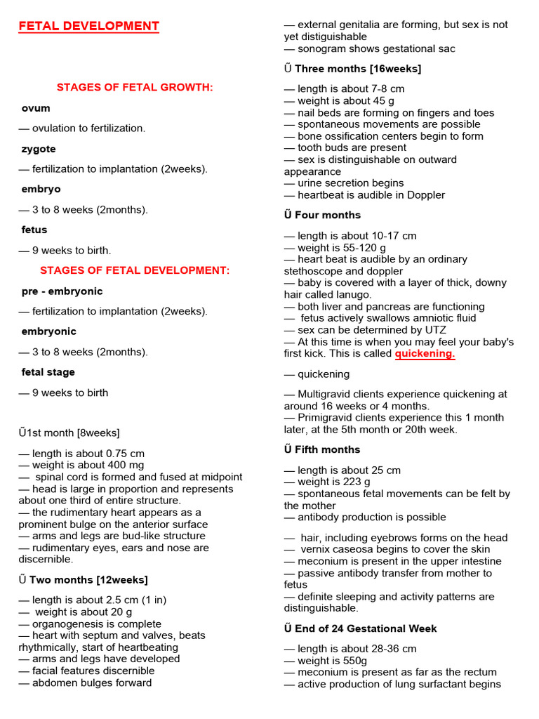 Fetal Development (NOTES) | PDF