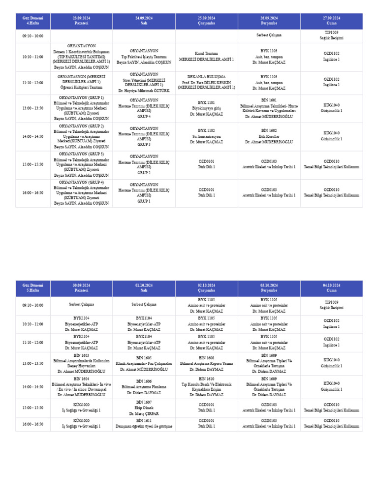 Donem1 PRG 2024 2025 | PDF