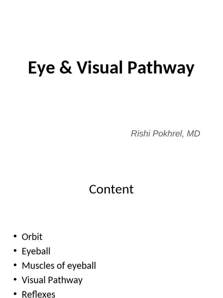Orbit, Eye Ball and Visual Pathway | PDF