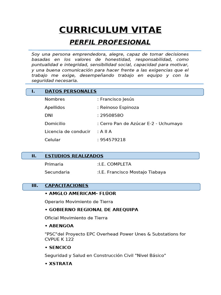 CURRICULUM VITAE Francisco Jesús | PDF