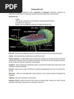 Prokaryotic Cells Revision Notes - A-Level Biology CIE - Cognito | PDF