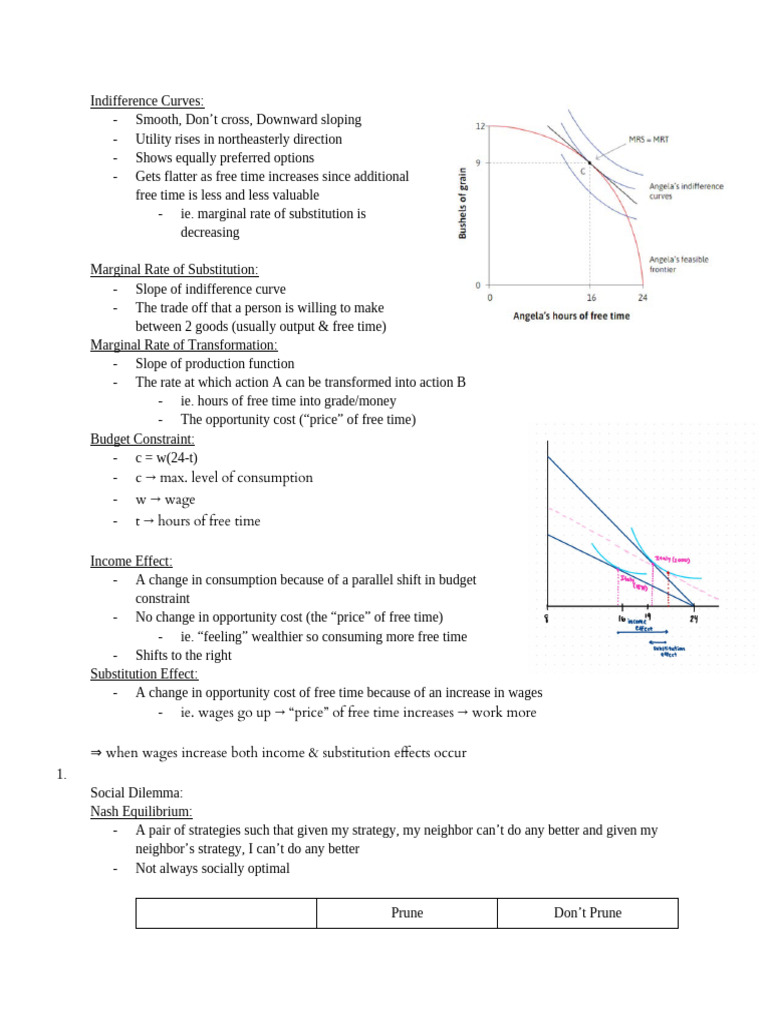 Test 2 Study Guide | PDF