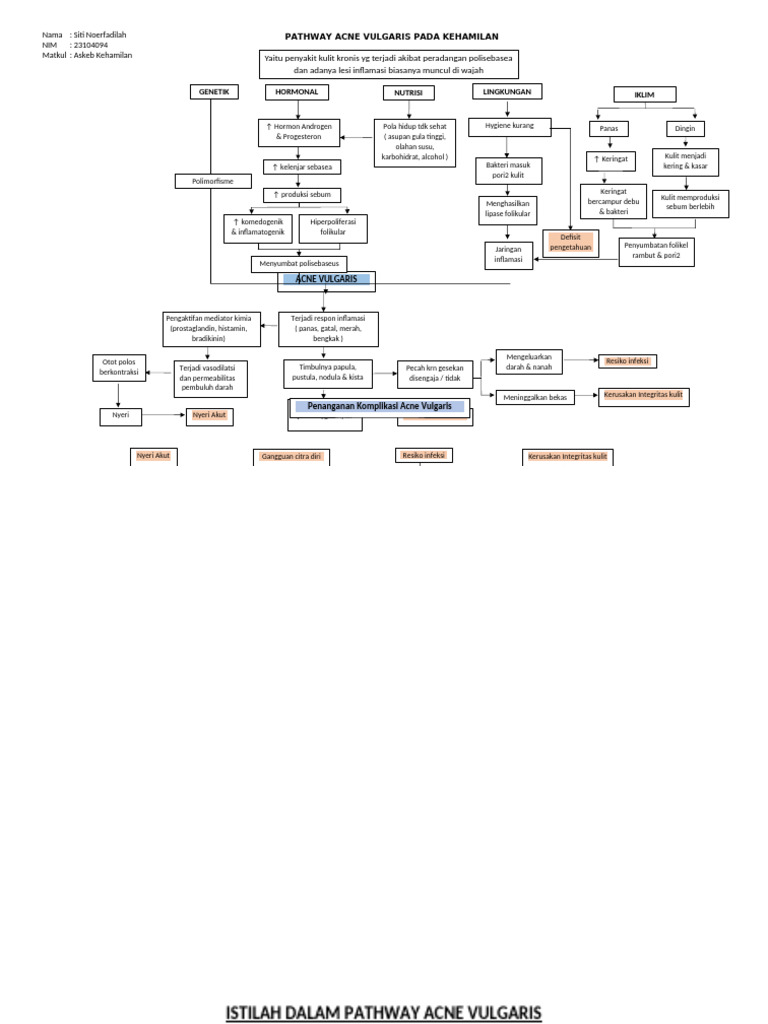 PATHWAY ACNE VULGARIS KEHAMILAN Revisi | PDF