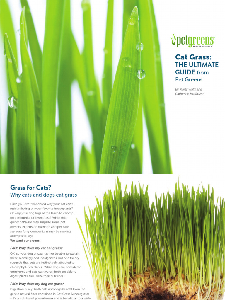 Cat Grass Ultimate Guide | PDF