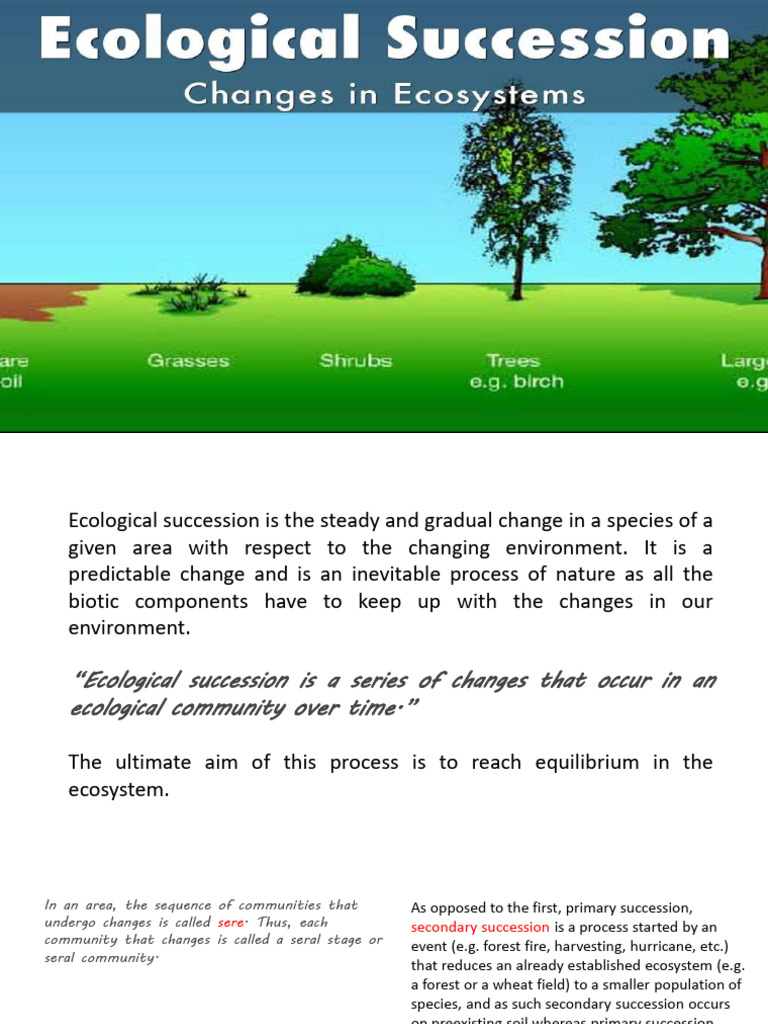 Ecological Succession | PDF
