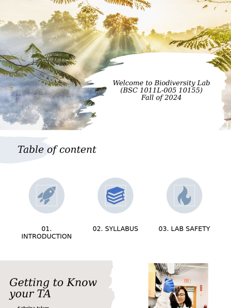 Lab 1 Powerpoint | PDF