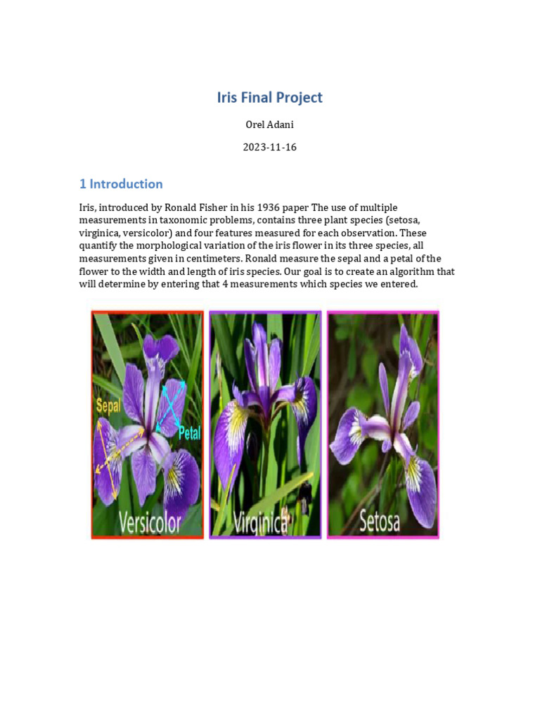 Iris Final Project | PDF