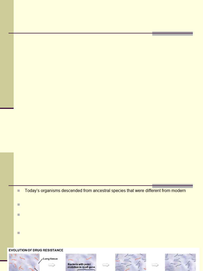 SN2 Lect 2 Evolution | PDF