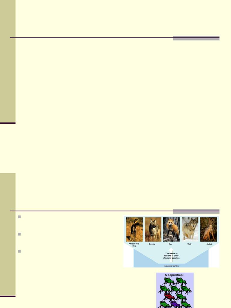 Microevolution and Population Genetics | PDF | Dominance (Genetics) | Zygosity