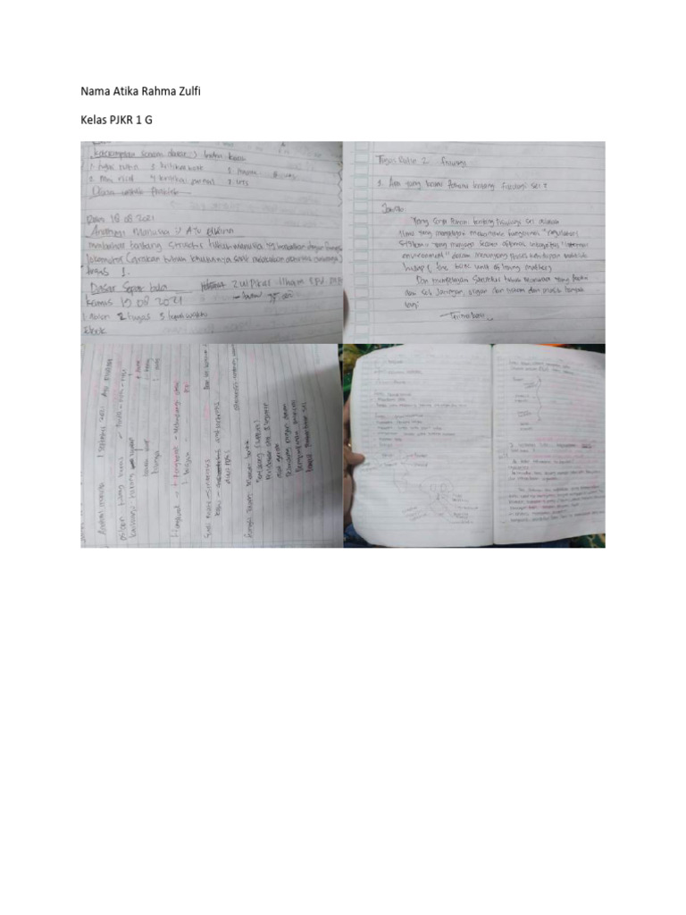 Uas Anatom-Dikonversi-Dikompresi | PDF