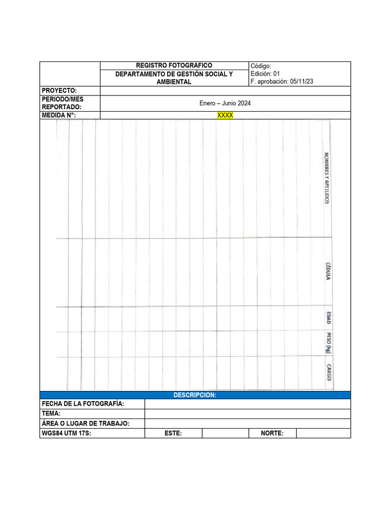 Formato Anexo | PDF