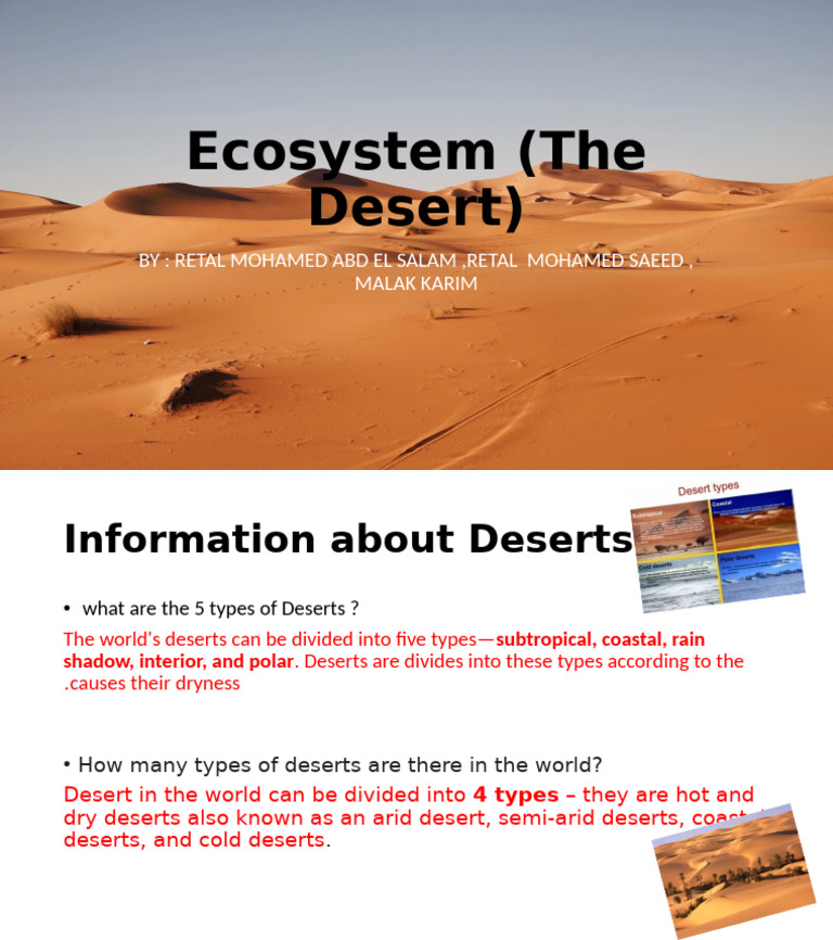 Ecosystem (The Desert) Global Perspective | PDF
