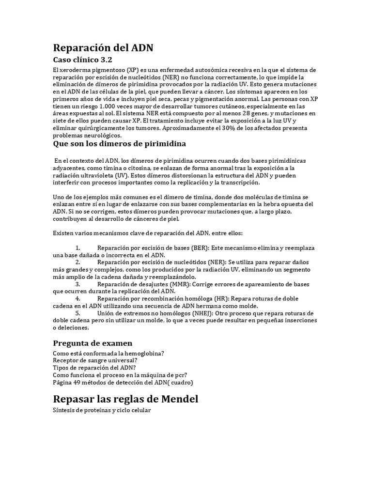 Reparación Del ADN | PDF