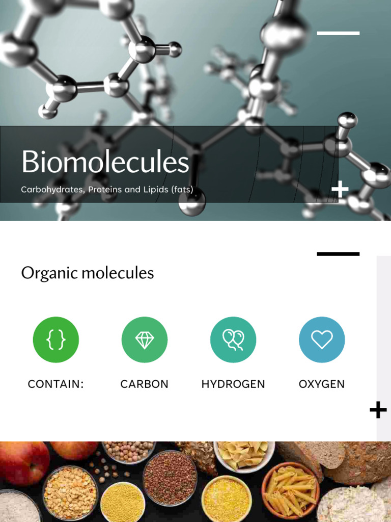 Biological Molecules | PDF