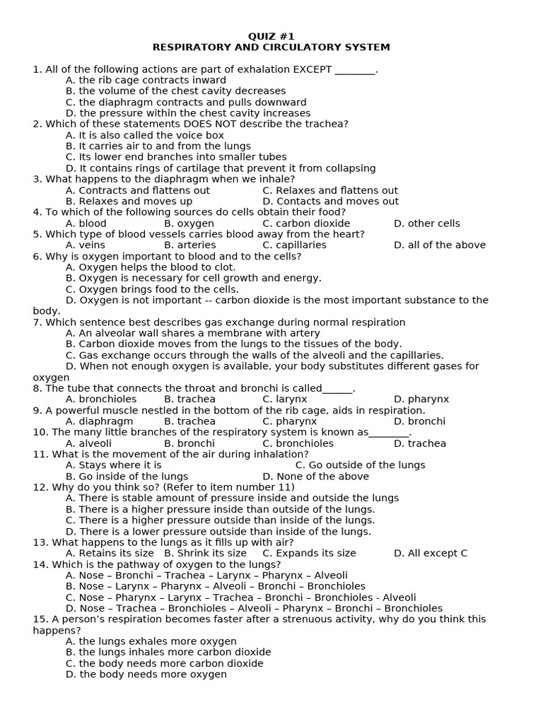Lesson 1 Respiratory and Circulatory System | PDF