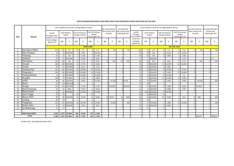 DATA CATIN DAN PUS LAYAK HAMIL 2023 SD JUNI 2024.xlsx - CATIN | PDF